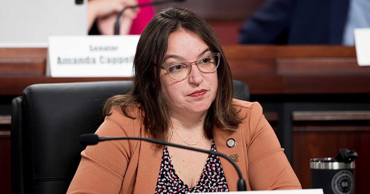 FY 2025-26 Budget Impasse - Senator Lindsey Williams